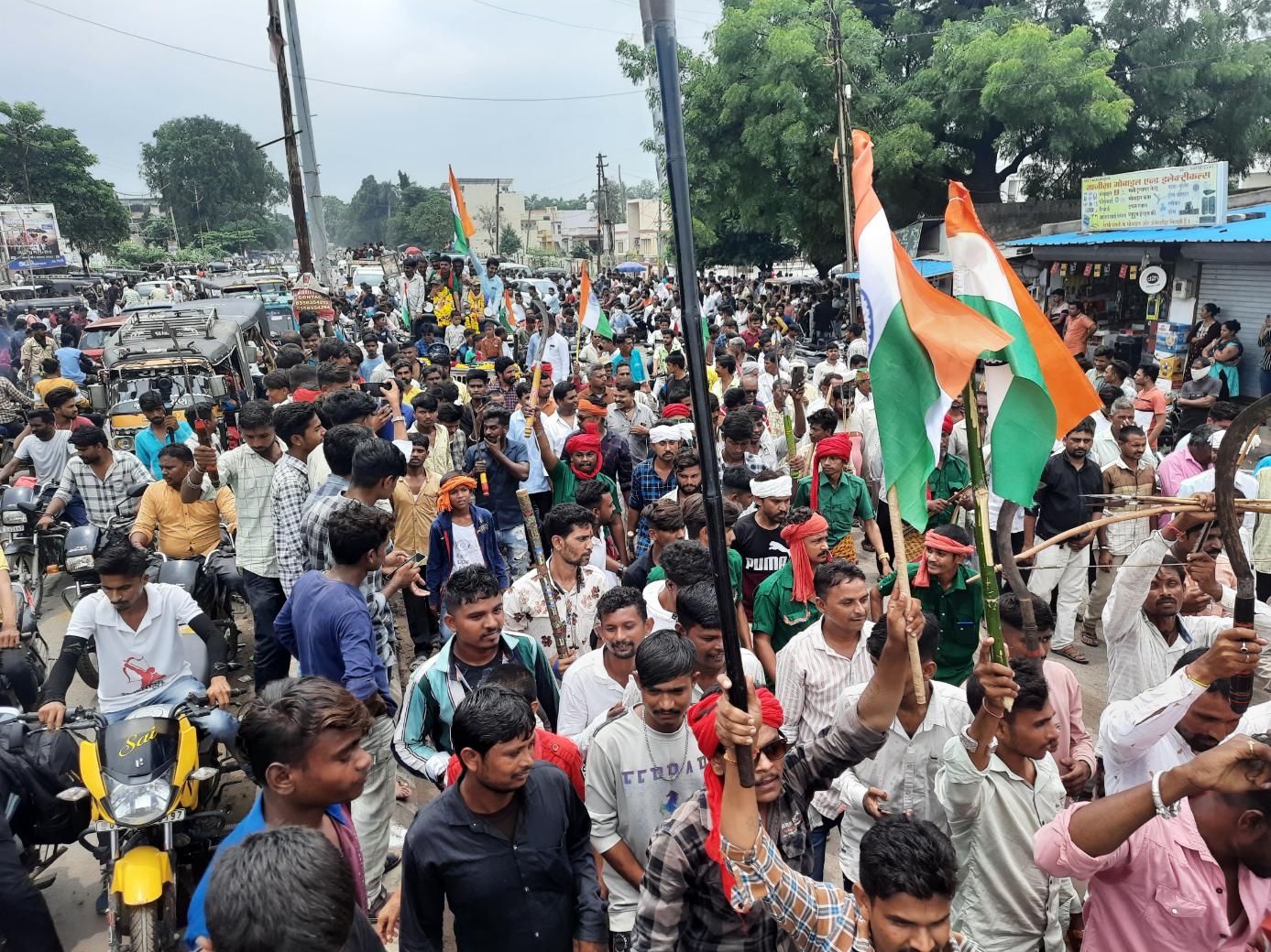 A grand celebration was organized by the Tourism Corporation in Halol ...