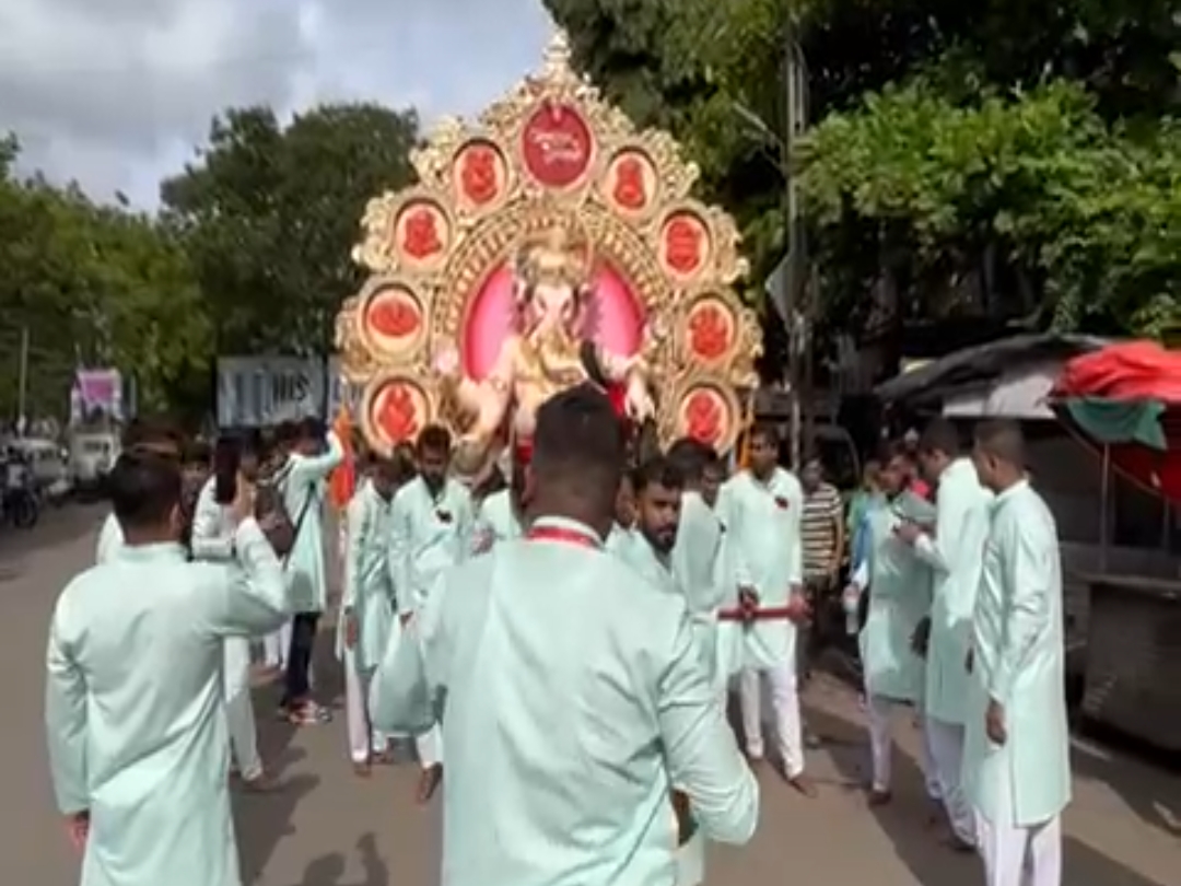 નવસારી | Navsari - Divya Bhaskar