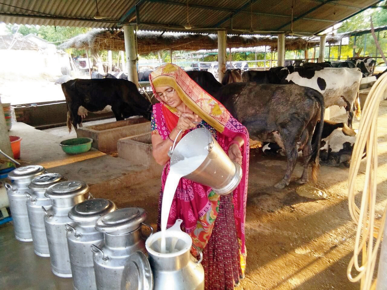 Amul Dairy hikes bulk milk prices by Rs 20 per kilo fat in milk prices ...