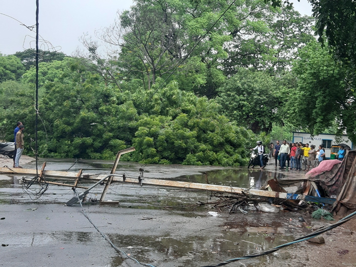 After 5 days the level of Vishwamitri reached 12.50 feet again, the ...