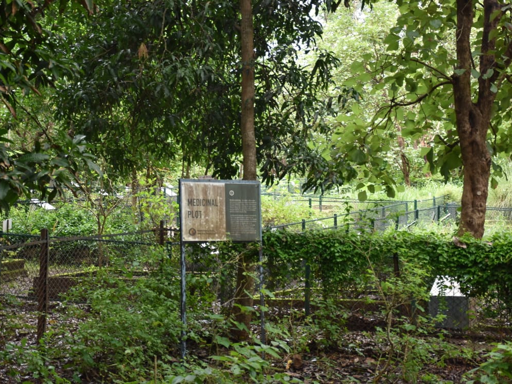 A paradise park for plant lovers in Dang; Covering 29 unique varieties ...