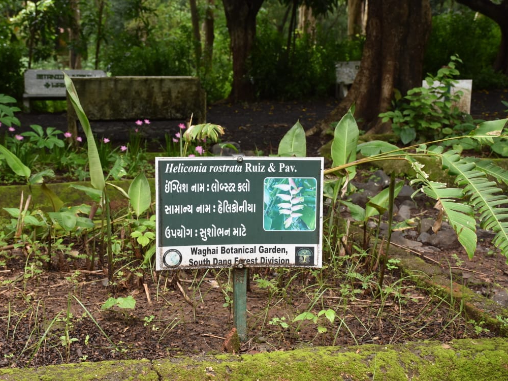 A paradise park for plant lovers in Dang; Covering 29 unique varieties ...