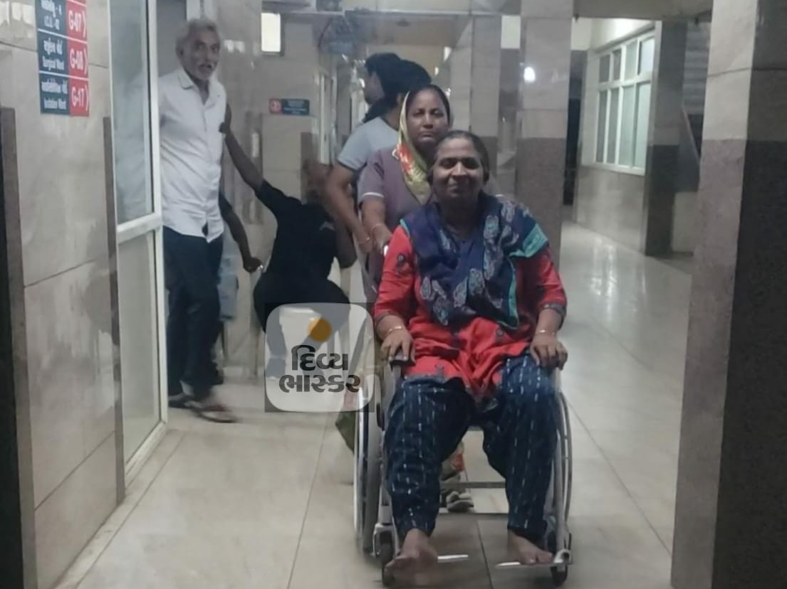 કડીમાં ગણપતિના દર્શન કરી ઘરે જતી મહિલાને ગાયે અડફેટે લીધી; ઈજાગ્રસ્ત ...