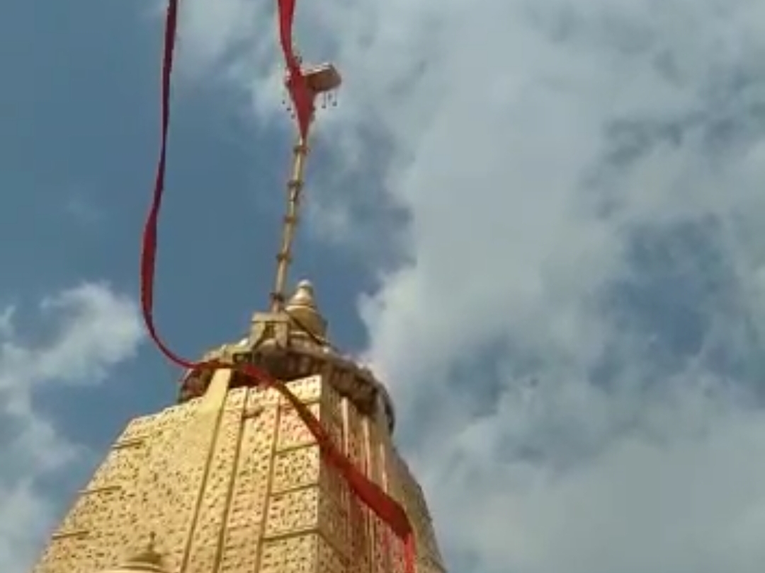 Devotees of Lunawada town reached Ambaji on foot with a 52 yard dash ...