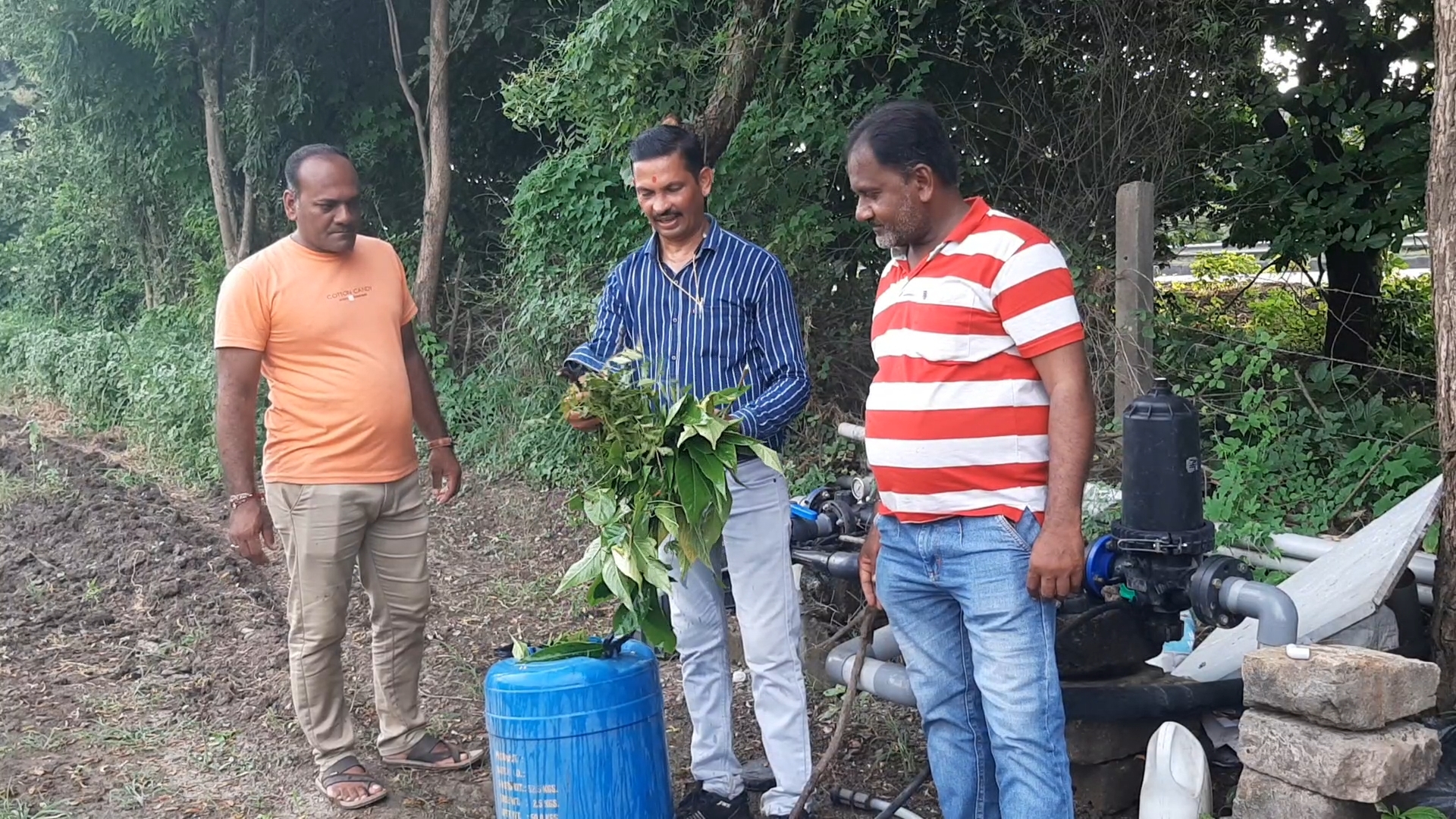Dumiyani village of Upleta taluka farmers grow nutritious vegetables ...