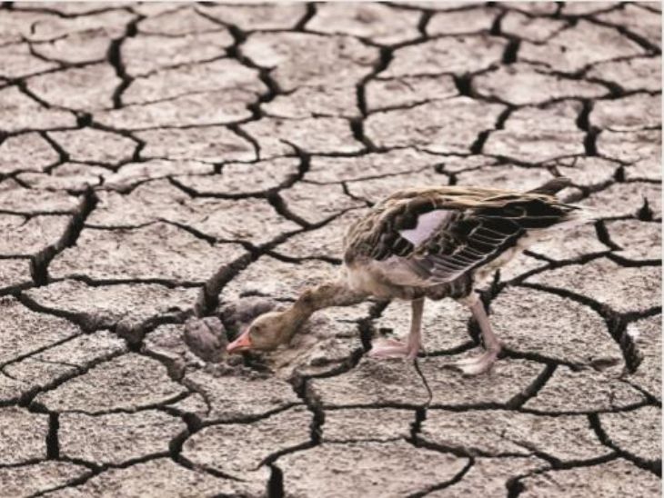 Worst drought in Europe in 500 years | દેશ-વિદેશ: યુરોપમાં 500 વર્ષનો ...