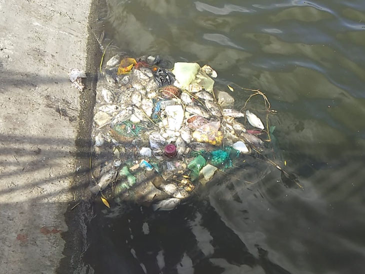 The death of fish in Anjar's swasar continues | જીવદયા પ્રેમીઓમાં રોષ ...