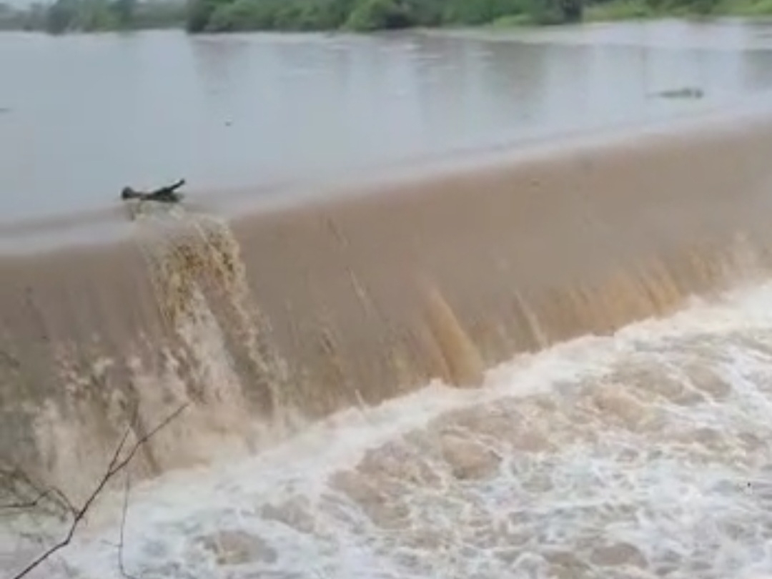 Amreli receives second consecutive day of rain, Savarkundla, Dharigir ...