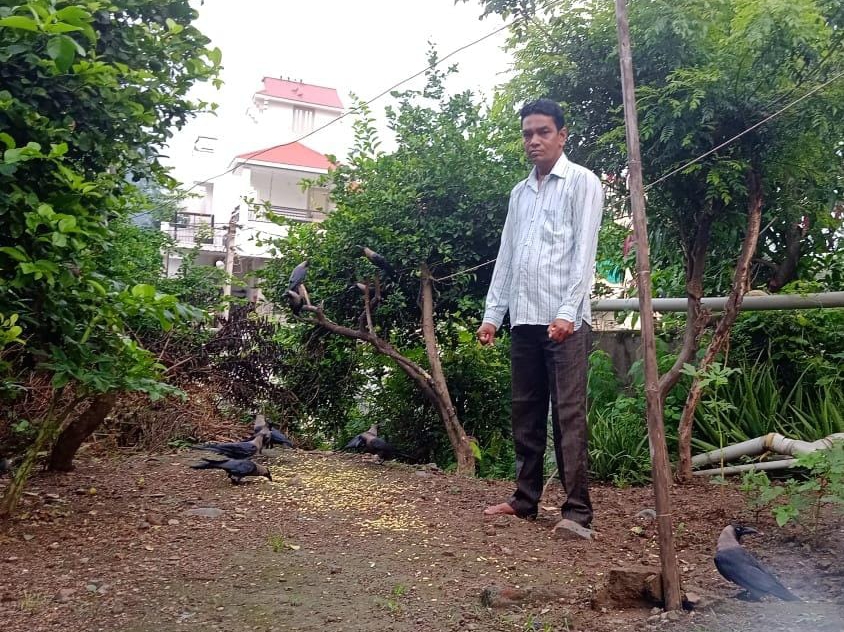 Satishbhai of Mangrol does Kagwas every year, a flock of crows reaches ...