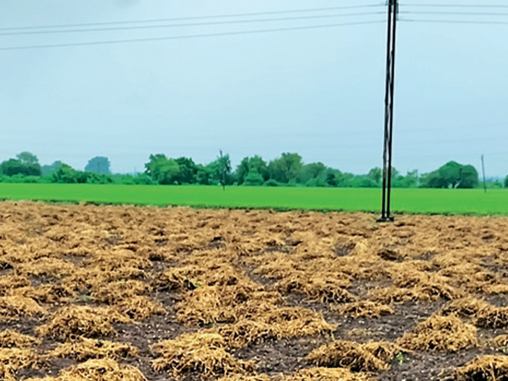 120 days of hard work washed away in three hours, the price of ...