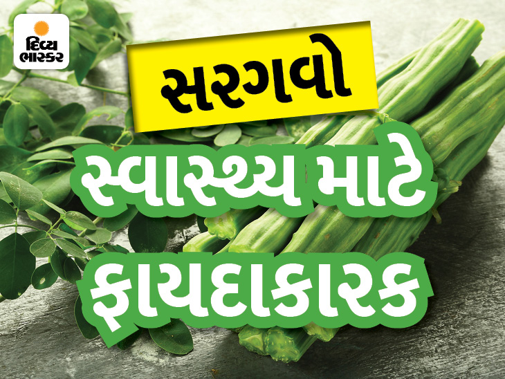 Sargava root to fruit and flower are also beneficial to get rid of many ...