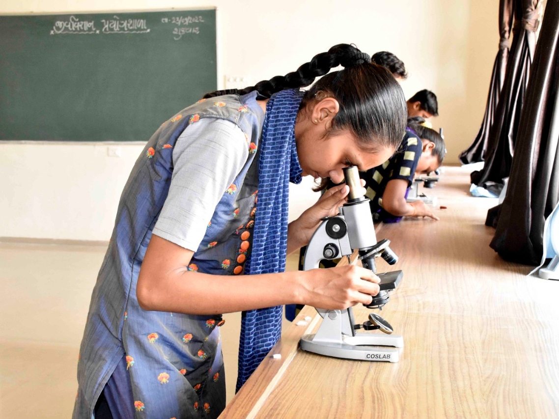 A model school in Amirgarh has become a blessing for tribal children ...