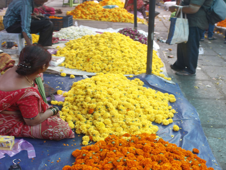Up to 10 tonnes of galgota flowers grown from Pune every day ...