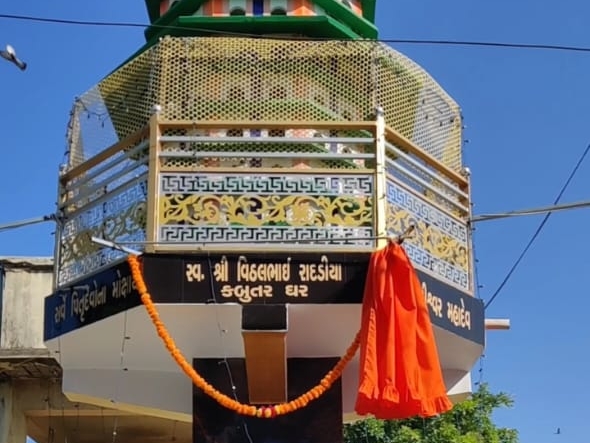 The shrine of Shitla Mataji in Gondal; The platform was opened for ...