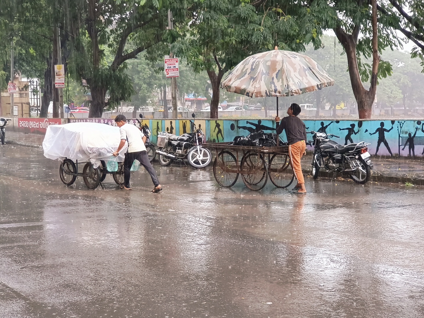 Incessant rains in Navsari led to despair among farmers and traders ...