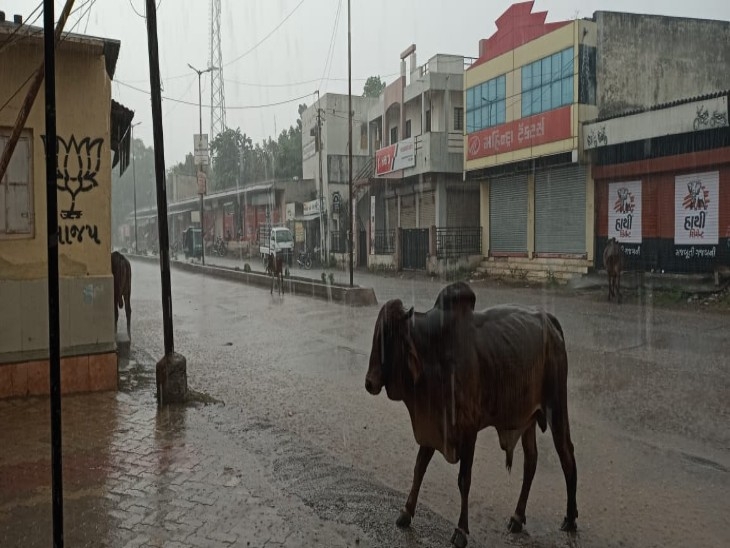 Vallabhipur city received two inches of rain in an hour, fear of damage ...