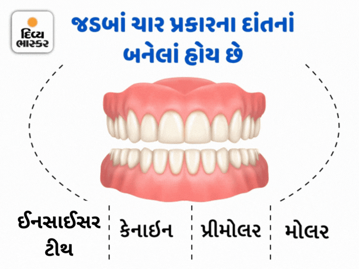 Eating sweets on Diwali-Bhaibij will cause more damage to tooth cavity ...