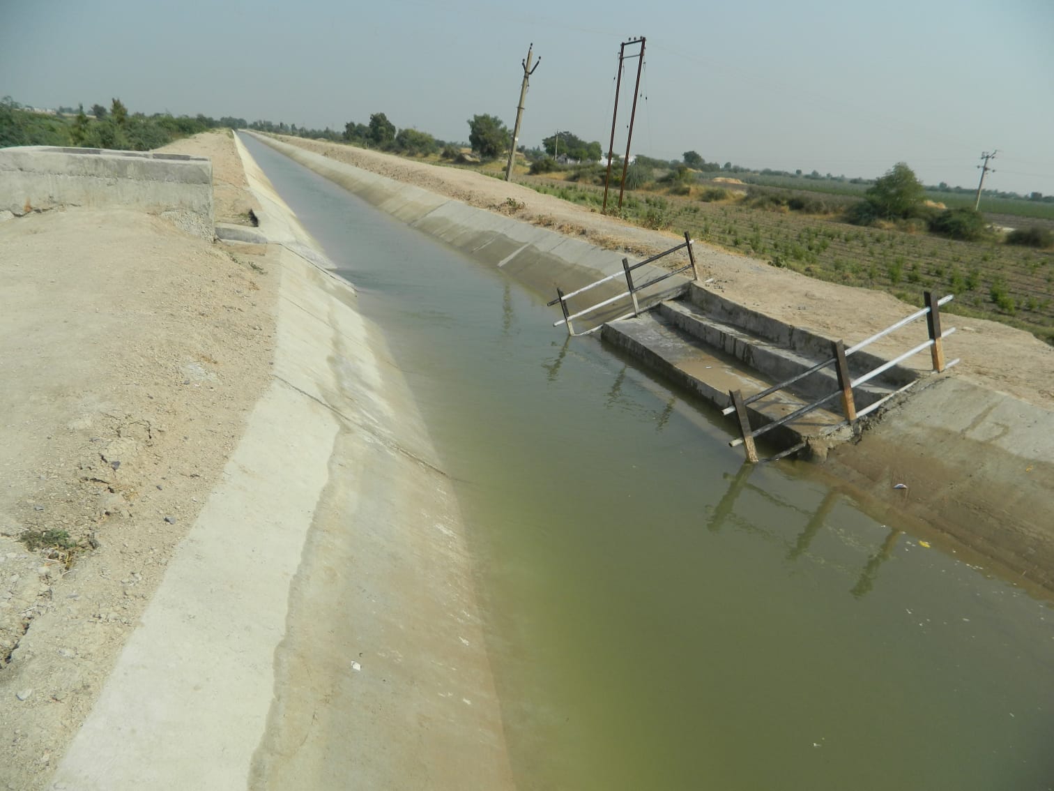 The body of a 25-year-old man was found in the Narmada Canal near ...