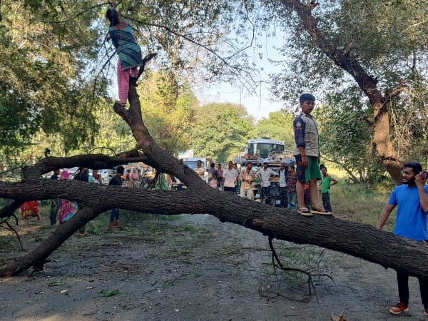 The main road from Pavagadh to Ghoghamba saw long queues of vehicles ...