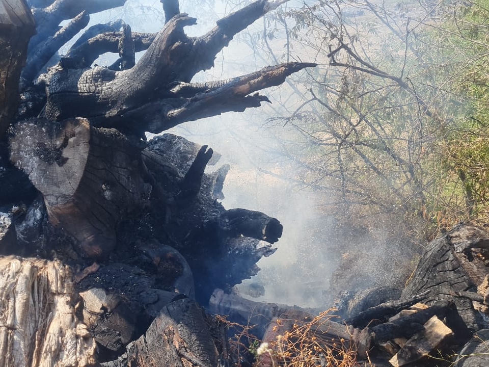 Incident of fire at two different places in Diu and Ghoghala; The fire ...