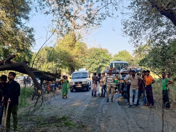The main road from Pavagadh to Ghoghamba saw long queues of vehicles ...