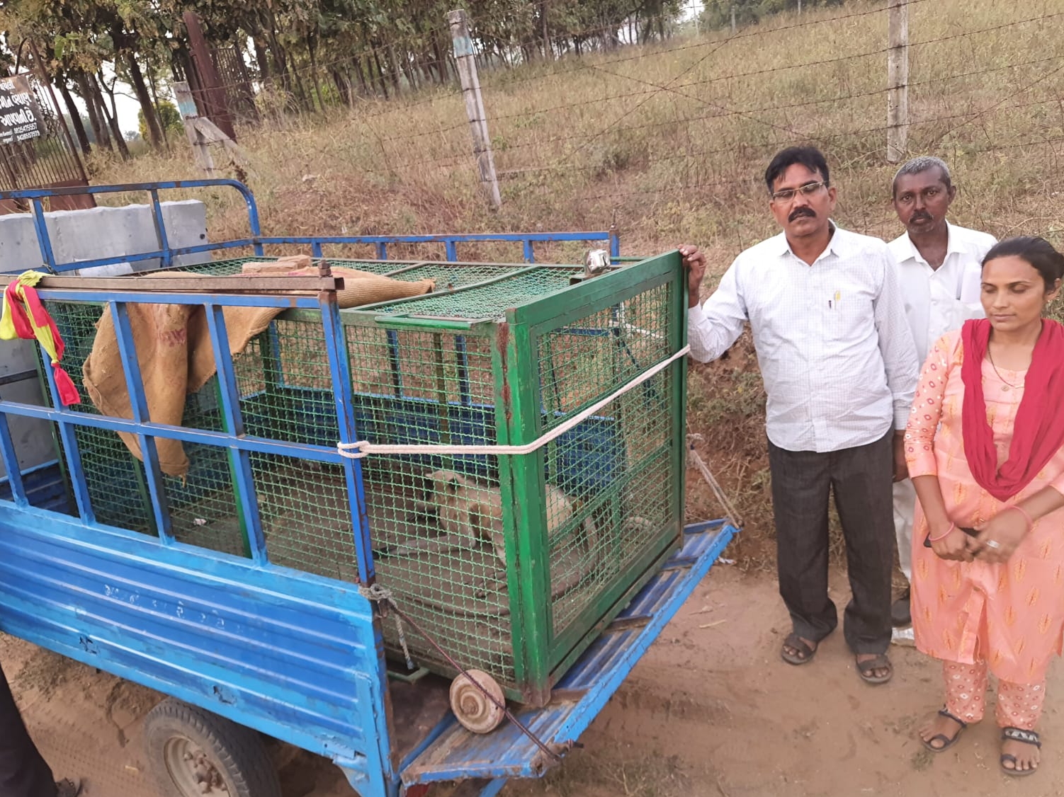 One Kapiraj injured after being hit by an unknown vehicle on Kapadvanj ...