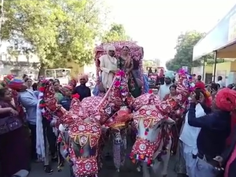 As per the old tradition in Dhrangadhra, people came to get married in ...