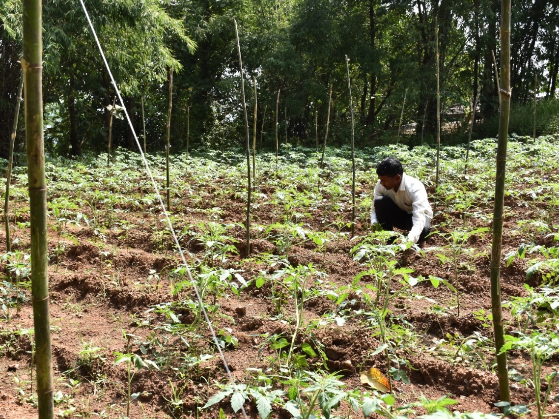 Farmers of Kaparada taluk have been able to get more production in ...