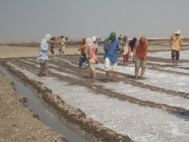 Mercury 10 degrees in the small desert of Kutch, the condition of ...