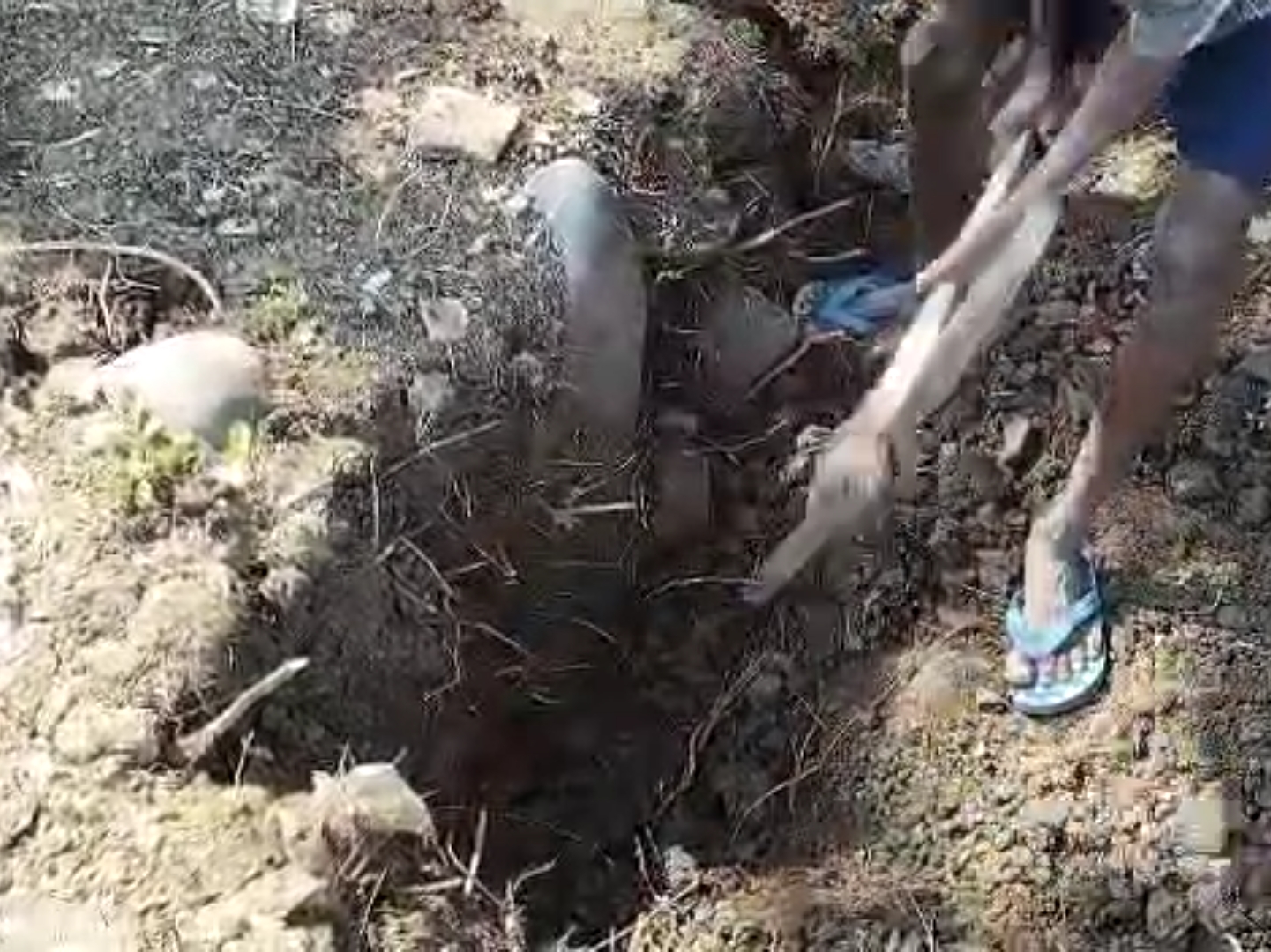 Curiosity found during the excavation of Dhana-Rupa Thanak in Chitali ...