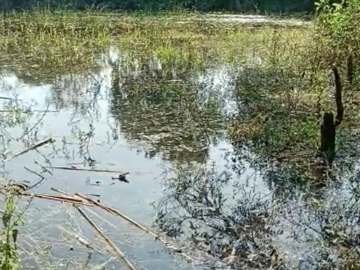 As the main canal of Majum Reservoir continues to leak, water seeps ...
