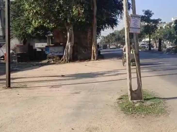 Despite 19 trees, a mobile tower, 2 electricity pylons on a 4 km cycle ...