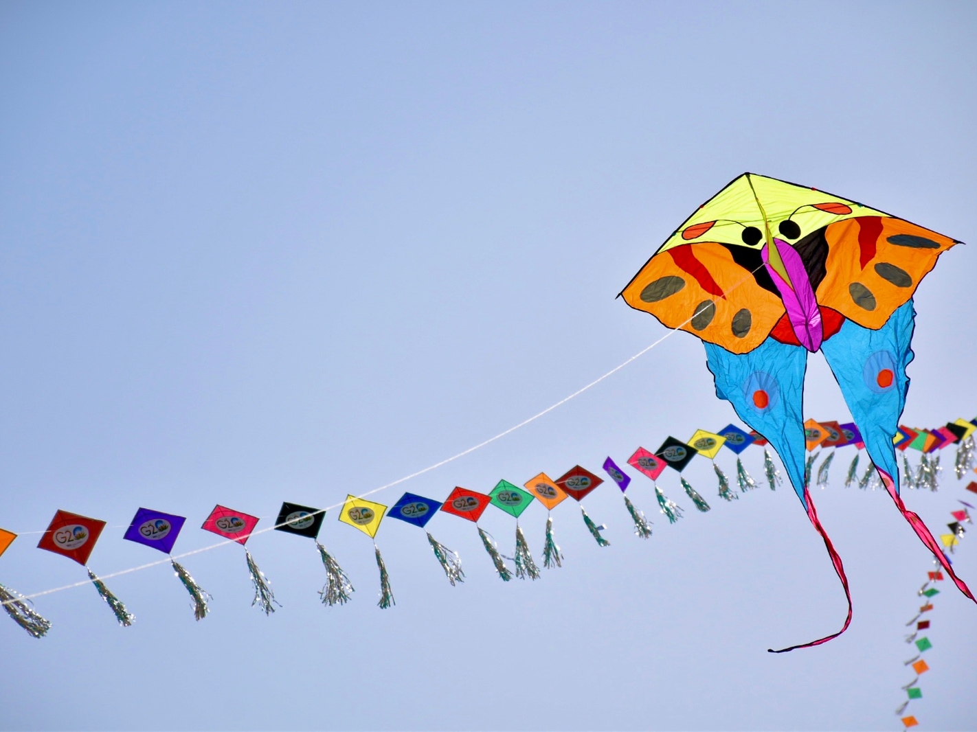 The white desert of Dhordo became beautiful with colorful kites, 19 ...