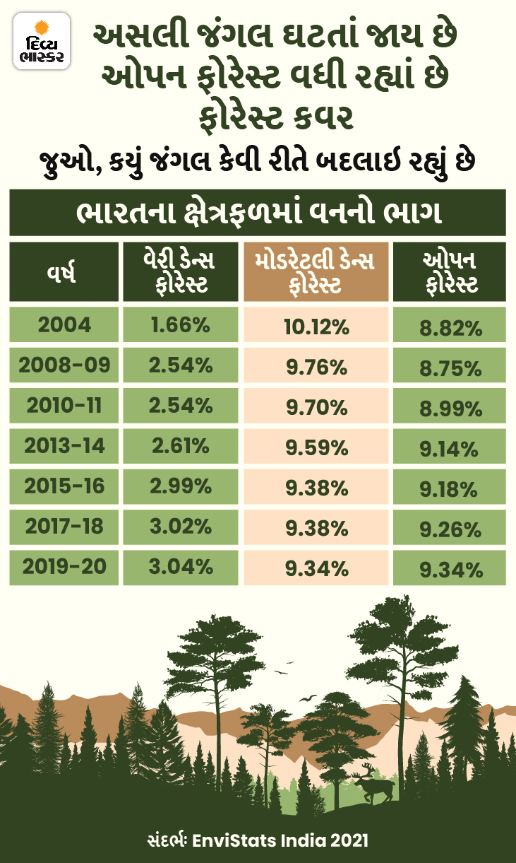 India's forest cover is increasing every year... but the actual forest ...