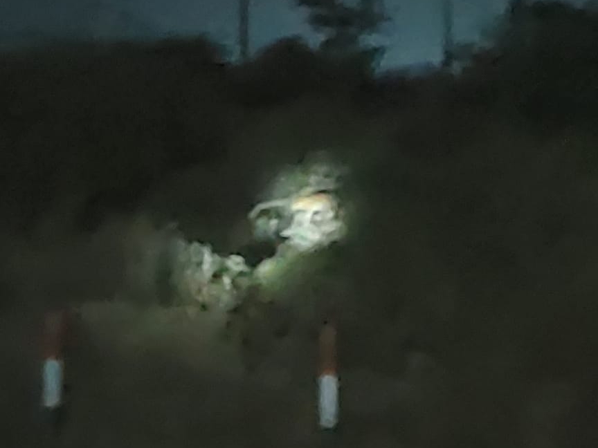Leopard attacks Nilgai cub in Wankaner, fear among villagers | રહેણાંક ...