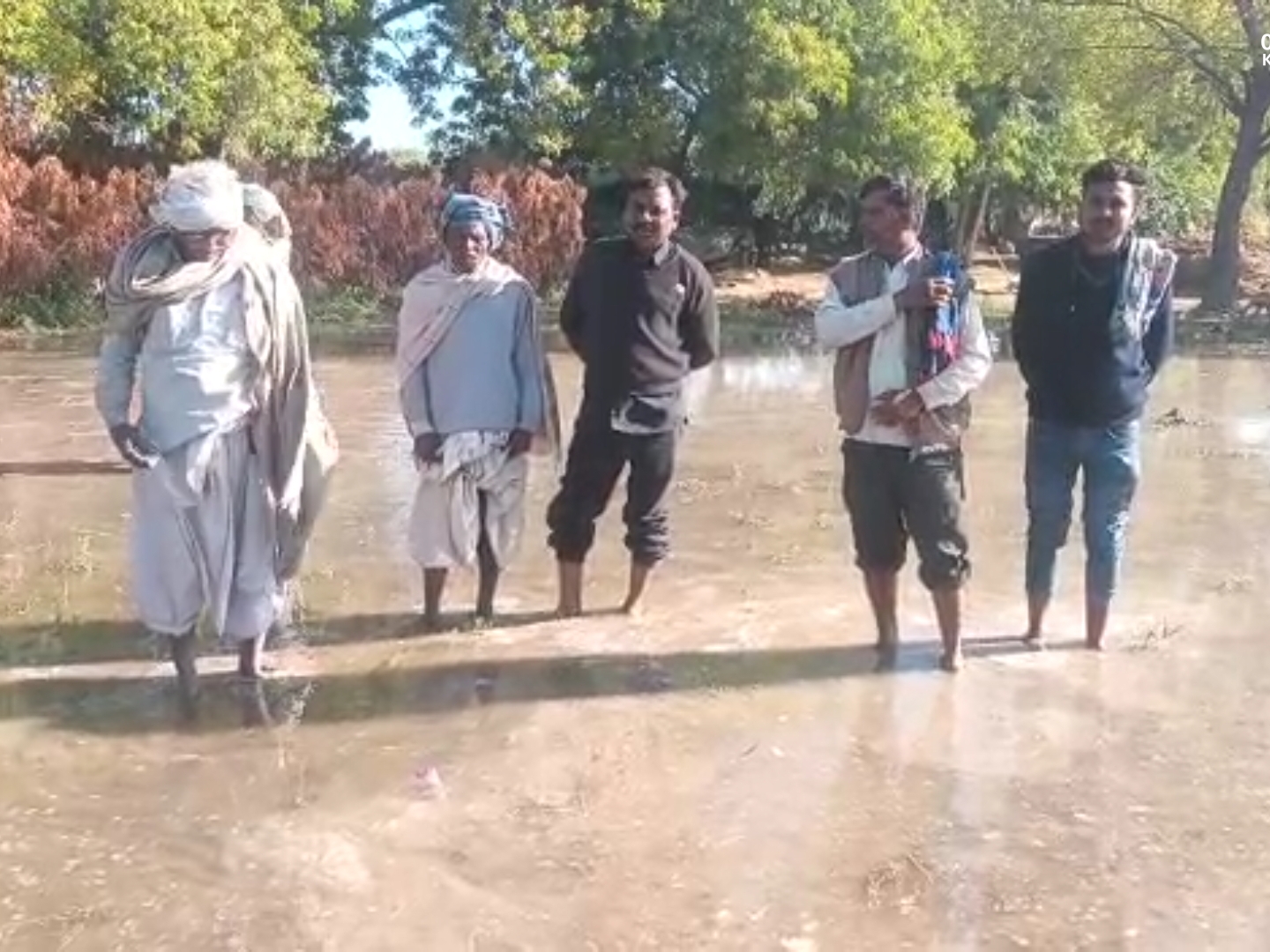 A gap in the canal passing near Radhanpur's Bhilot, the standing crops ...