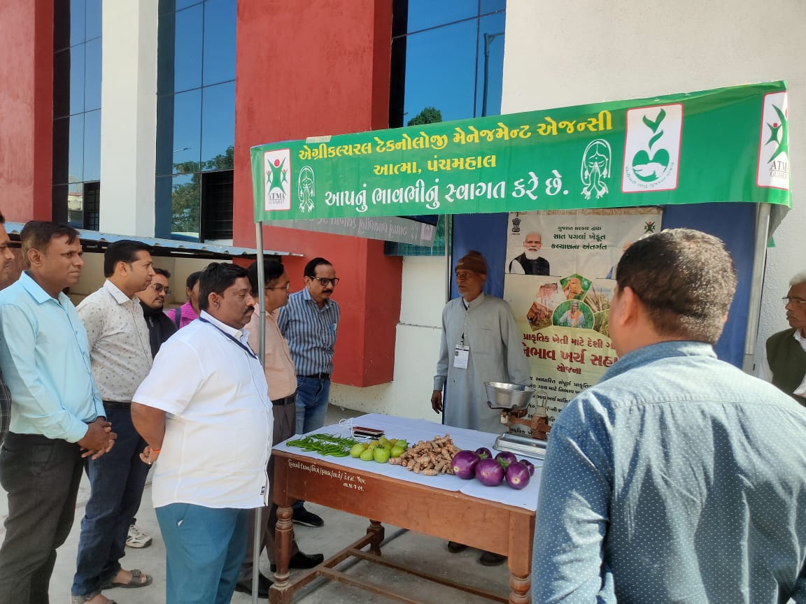 Two farmers from Morwa Hadaf set up a stall of organically grown ...