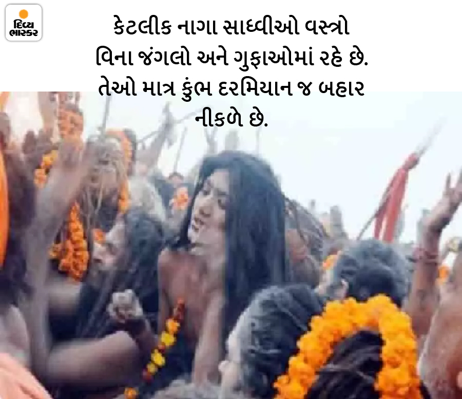 Bhaskar reporter rushed to hospital; Becomes a Naga Sadhvi after 108 ...