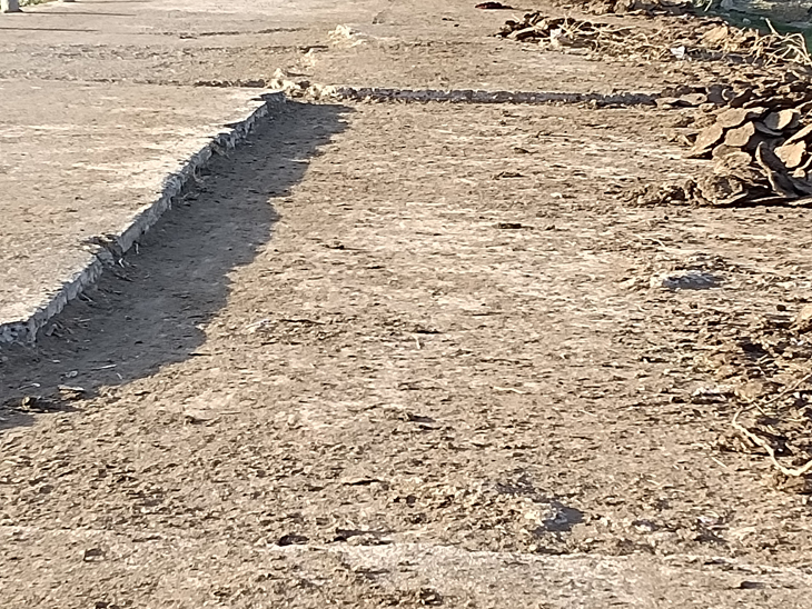 Causeway of river Bhadar flowing through Atkot, bank road to Bismar ...