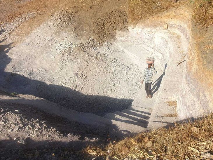 A farmer from Kaduli Mahudi village of Chotaudepur worked day and night ...