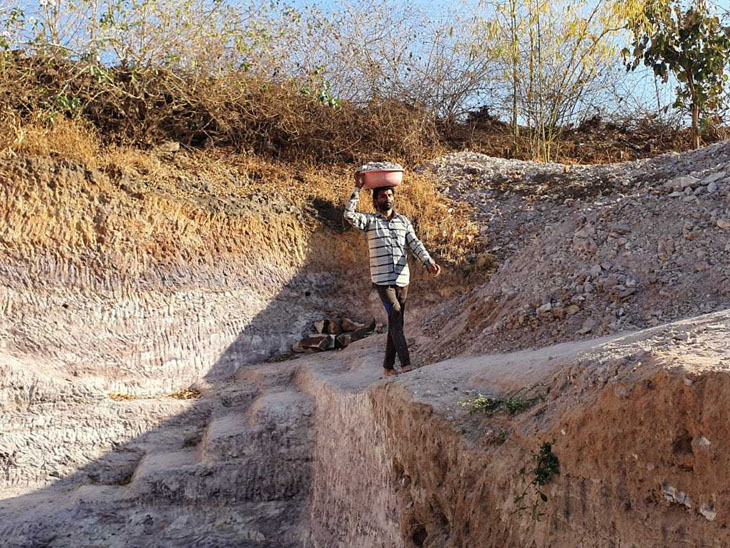 A farmer from Kaduli Mahudi village of Chotaudepur worked day and night ...