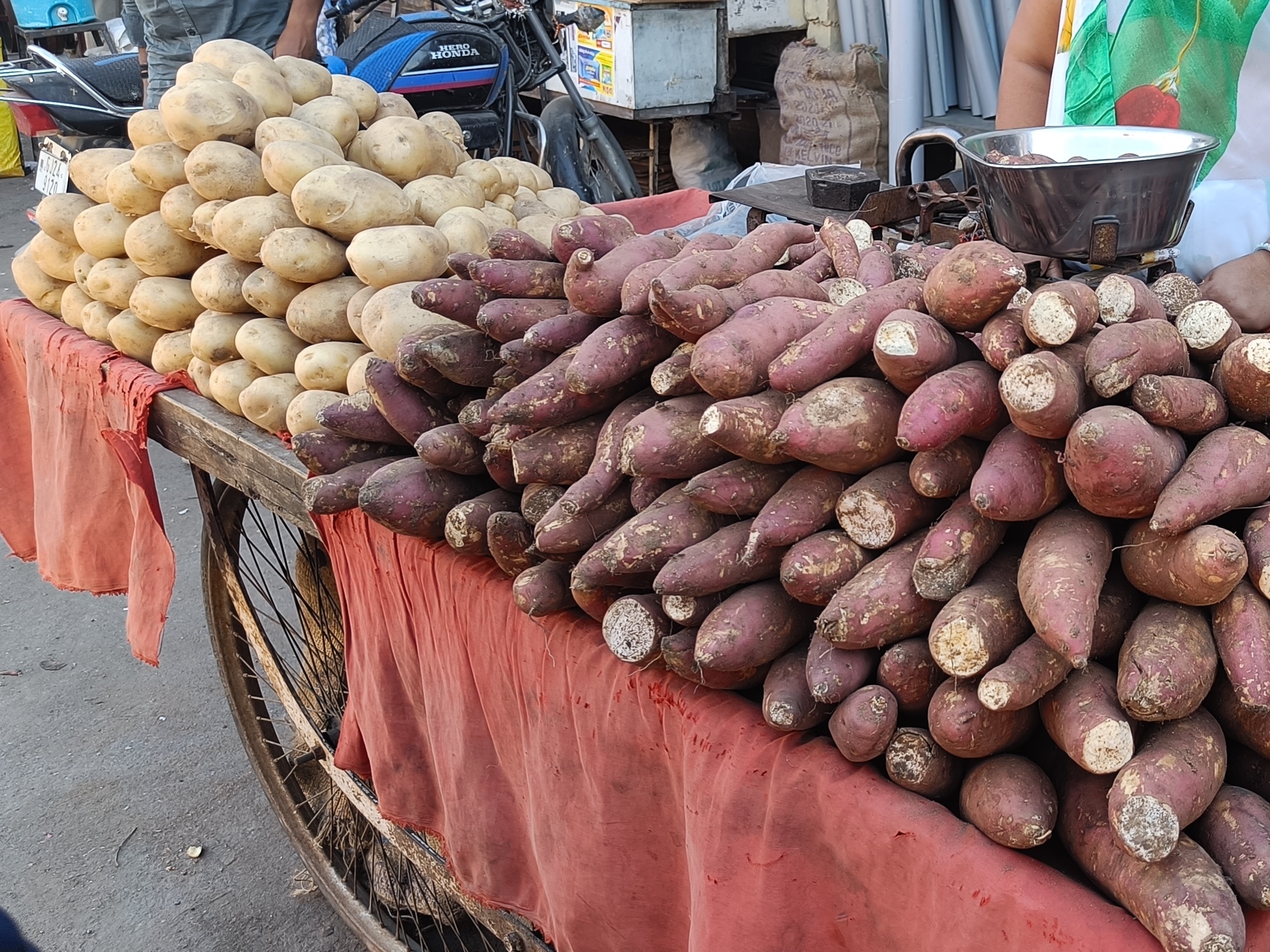 On the occasion of Mahashivratri, the purchase of sweet potatoes in the ...