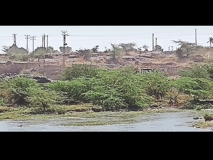 Mafias active again in Atkot, system silent despite rampant theft ...