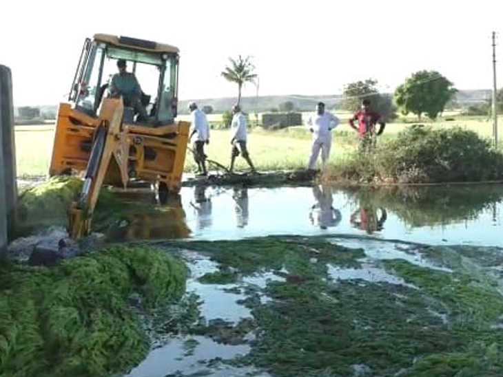 Canal overflows due to garbage and algae entrapment, damage to crops as ...