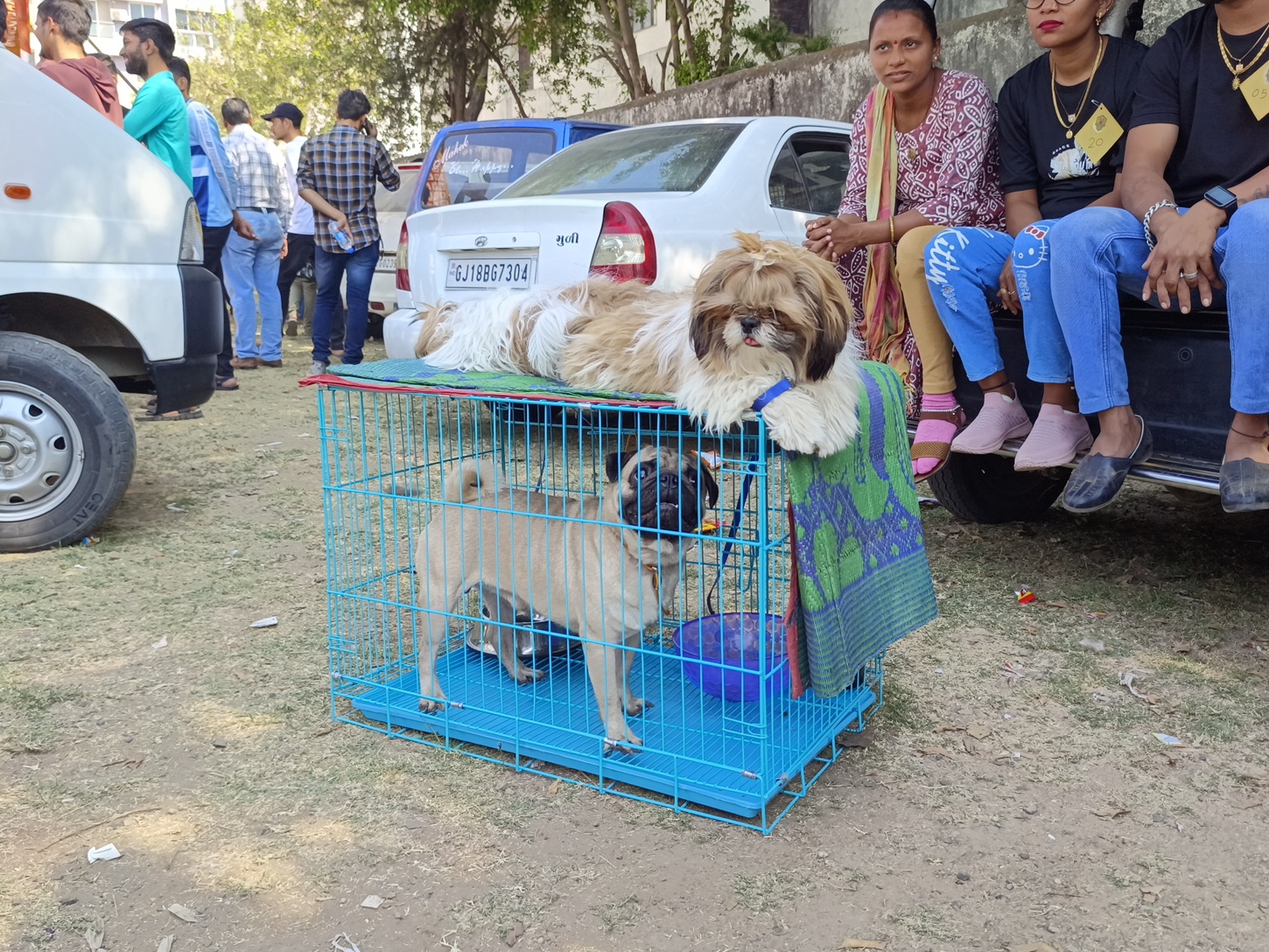 A dog show held in Navsari saw 32 dogs of different breeds, the owner ...