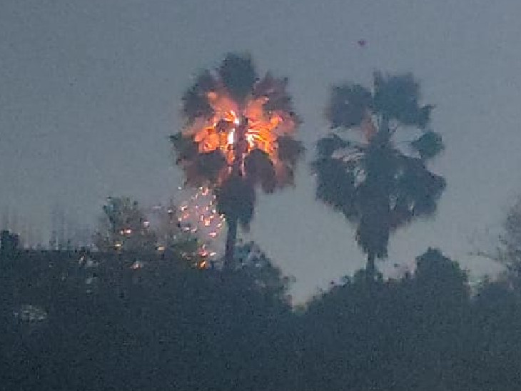 A palm tree struck by lightning with a crackling fire started to burn ...
