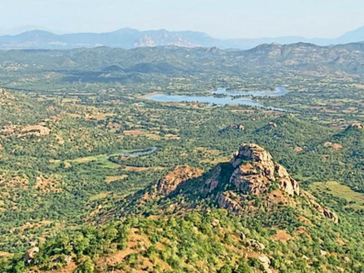 Danta taluka has the highest number of trees in Banaskantha district ...