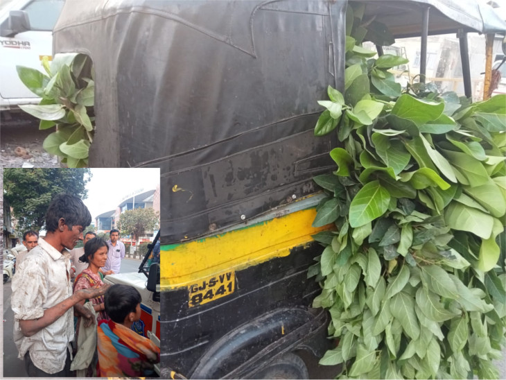 The Green Army members quickly handed over the trees, including banyan ...