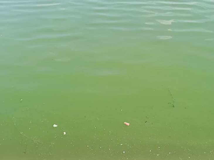Tapi river, the lifeline of Surat city, has been continuously polluted ...