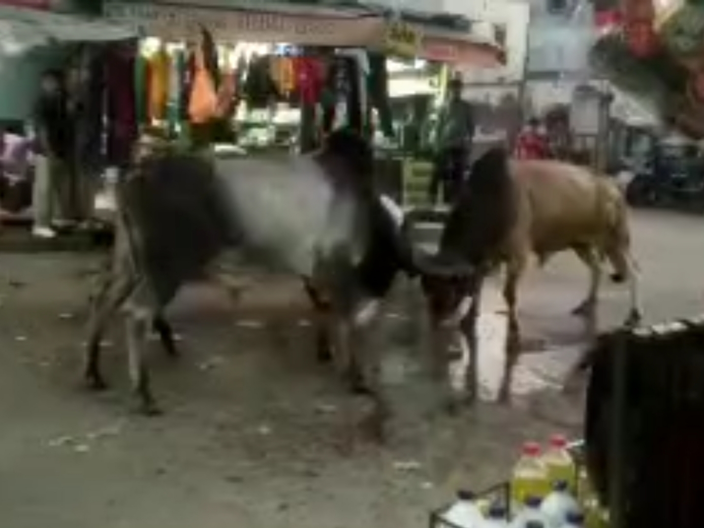 Between two wholesale markets in the dry market area of Modasa city ...